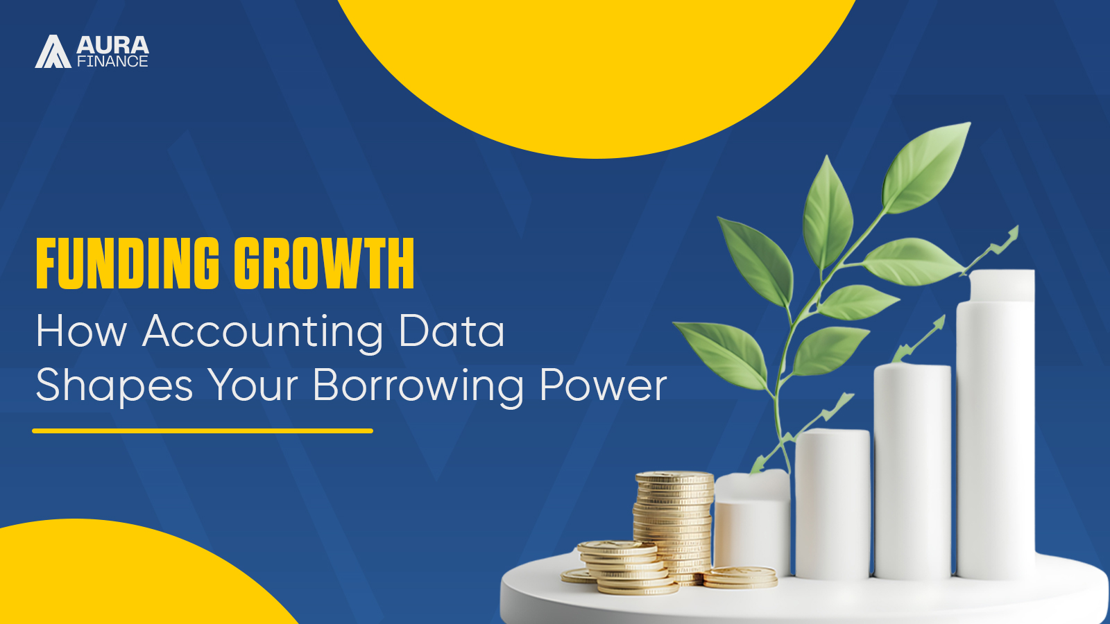 Funding Growth: How Accounting Data Shapes Your Borrowing Power Aura ...
